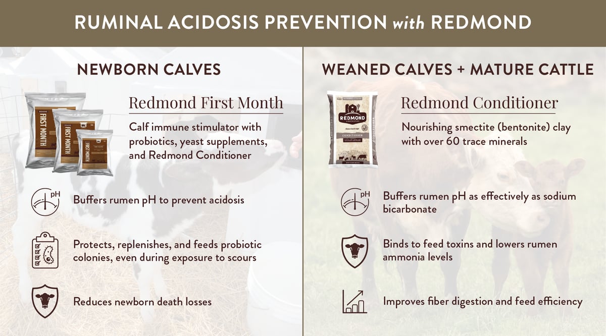 Correcting Ruminal Acidosis